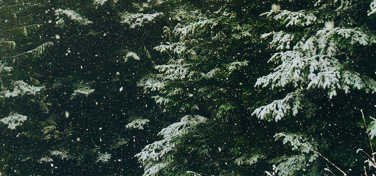 Free Christmas Media - Church Media Drop